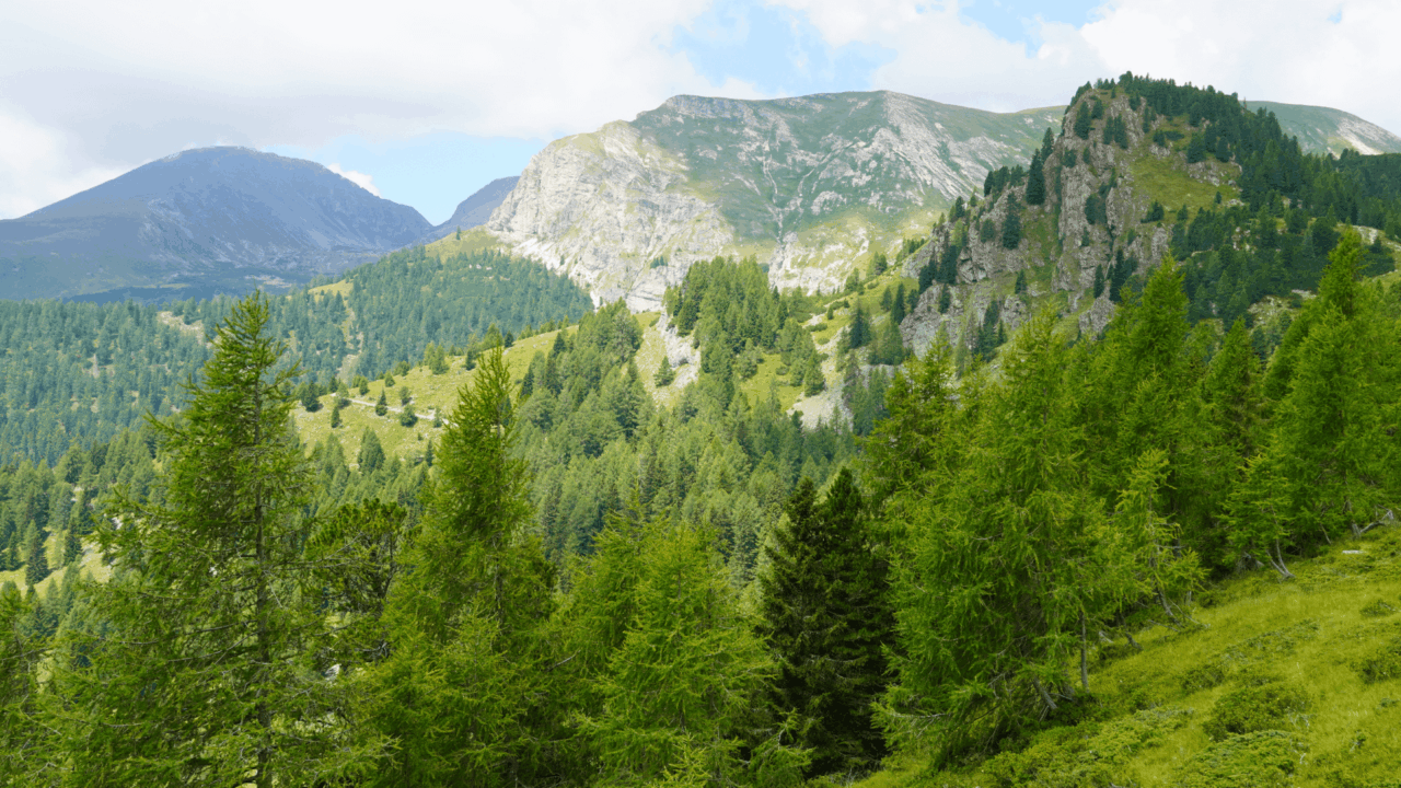 Reiseziel Nockberge Nationalpark - Das musst Du sehen! - Tipps und ...